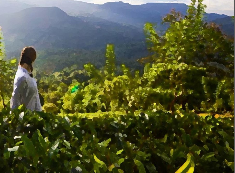 SLTDA | Sri Lanka Tourism Development Authority